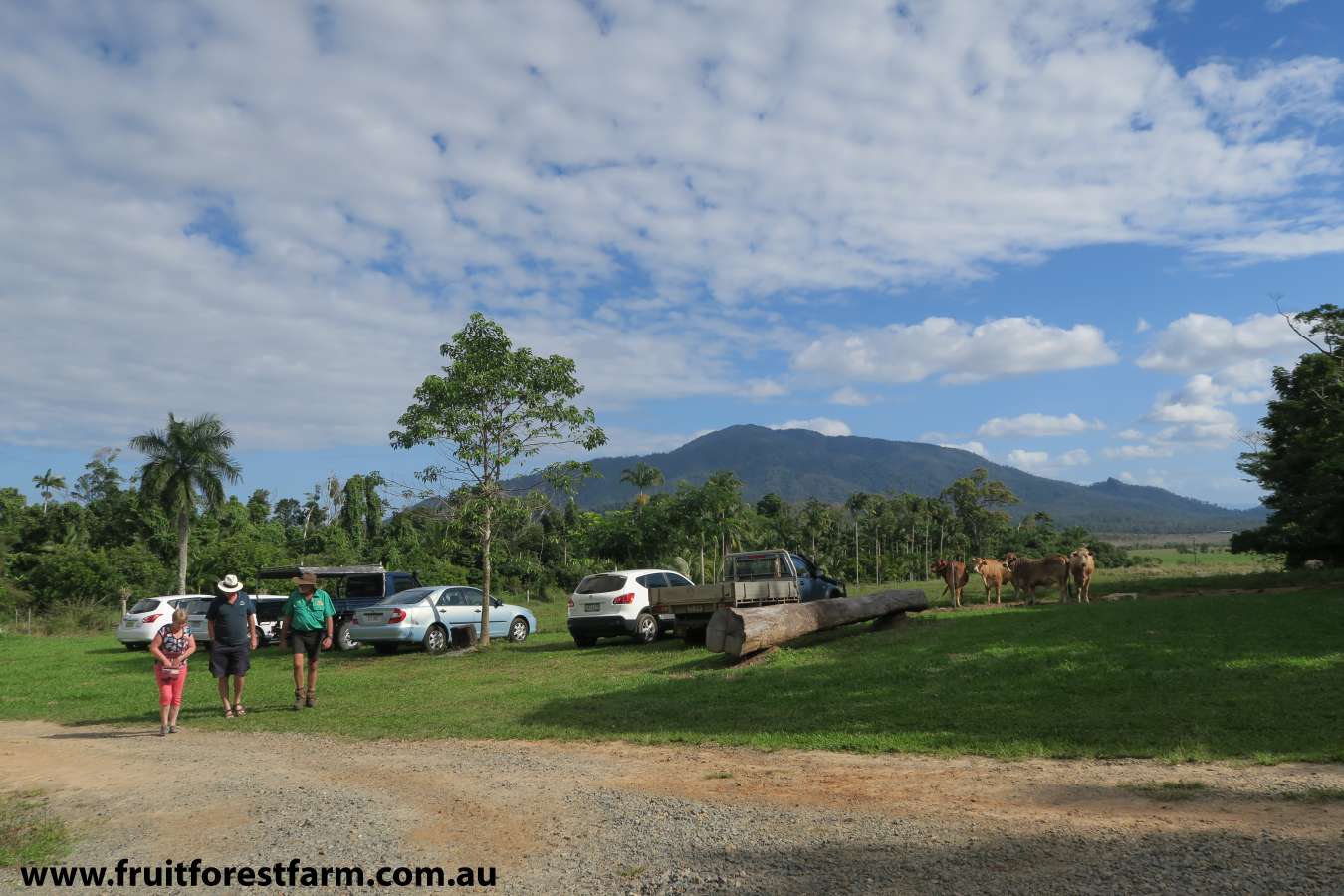 Gallery | Fruit Forest Farm